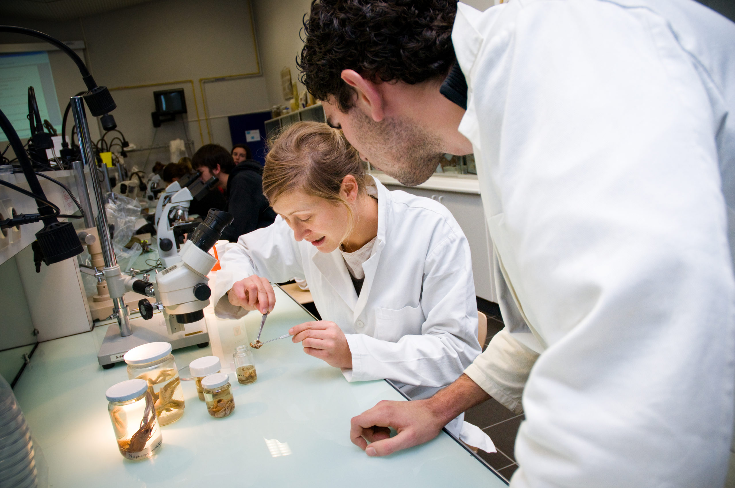 Our structures - La Rochelle Université