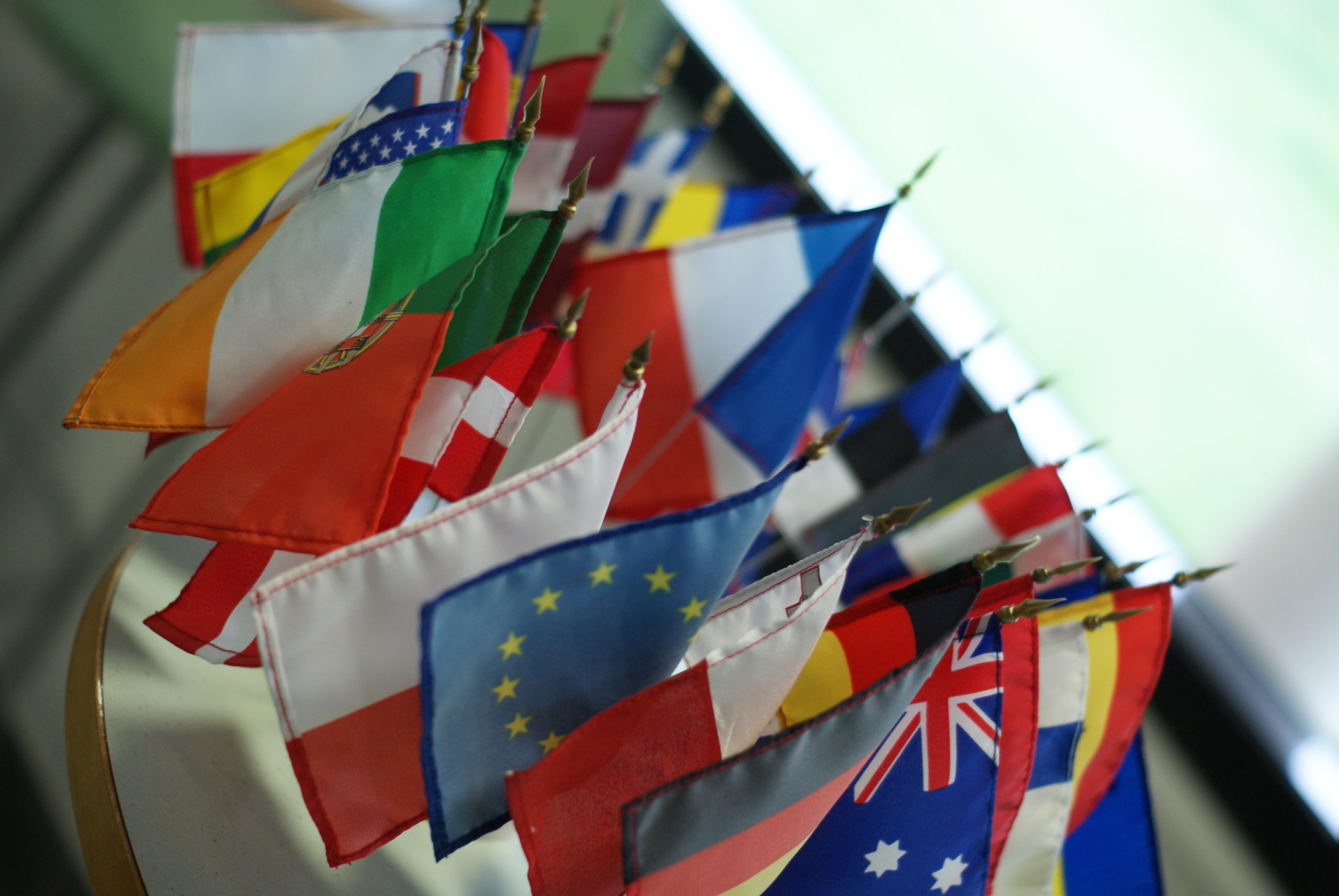International - La Rochelle Université