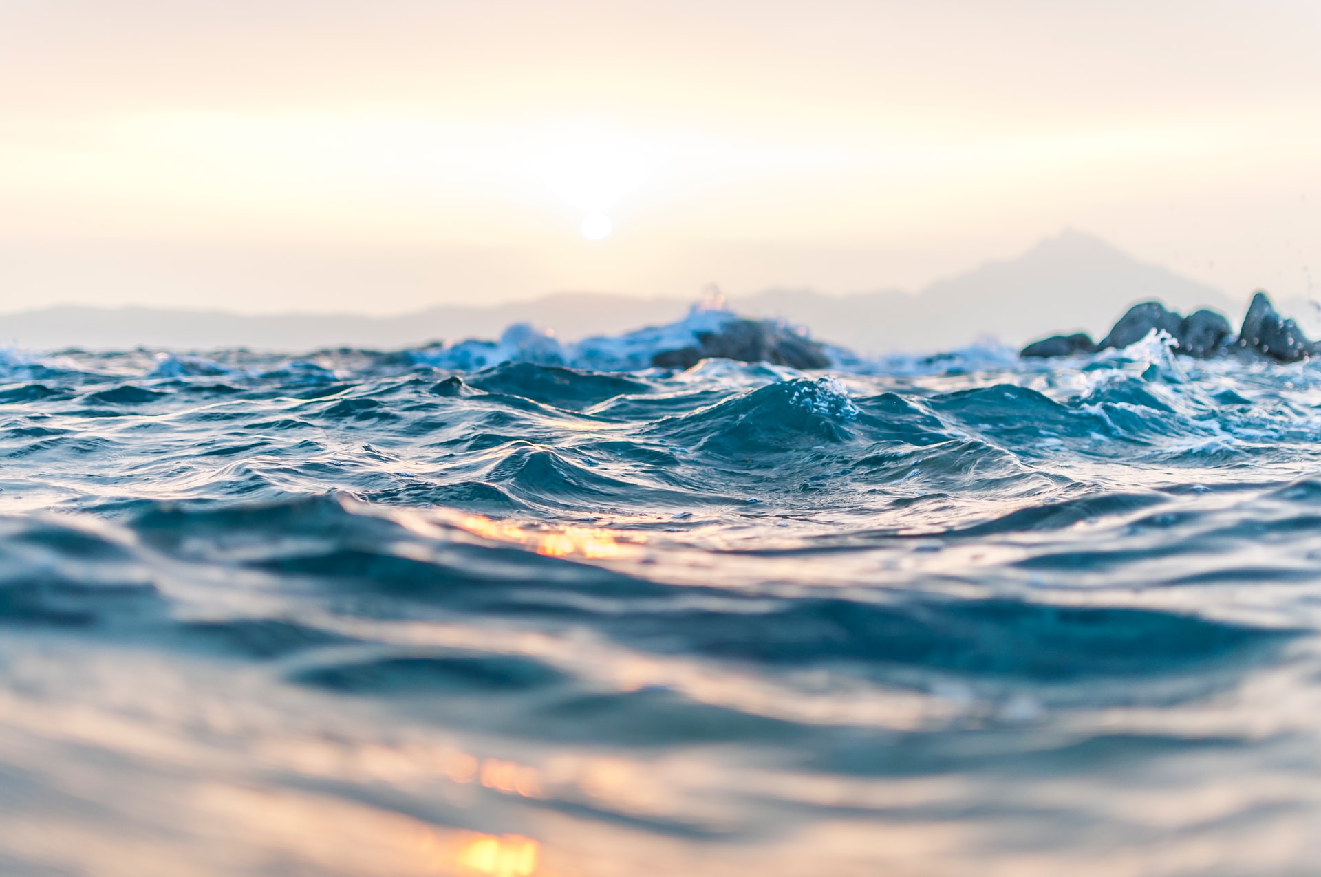 Chaire UNESCO "Océan et littoral durable" - La Rochelle Université