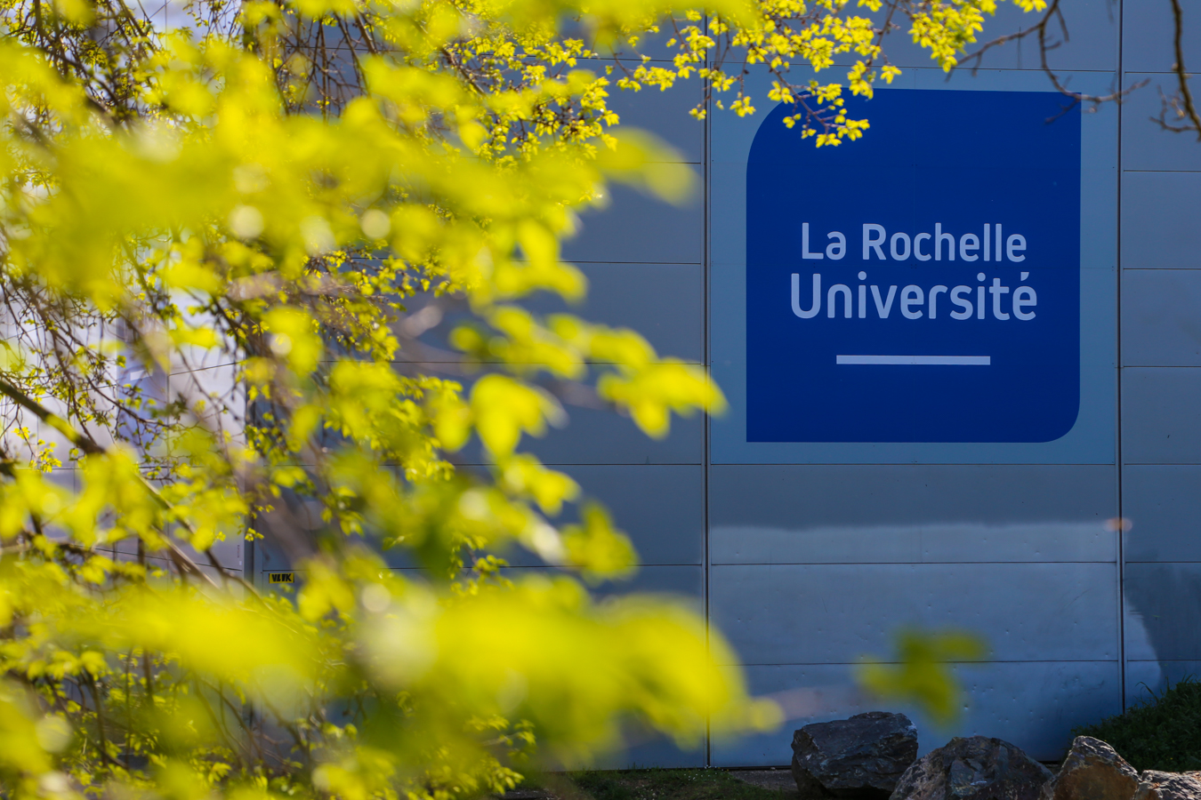 University - La Rochelle Université